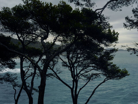 Who we are | Flos USA